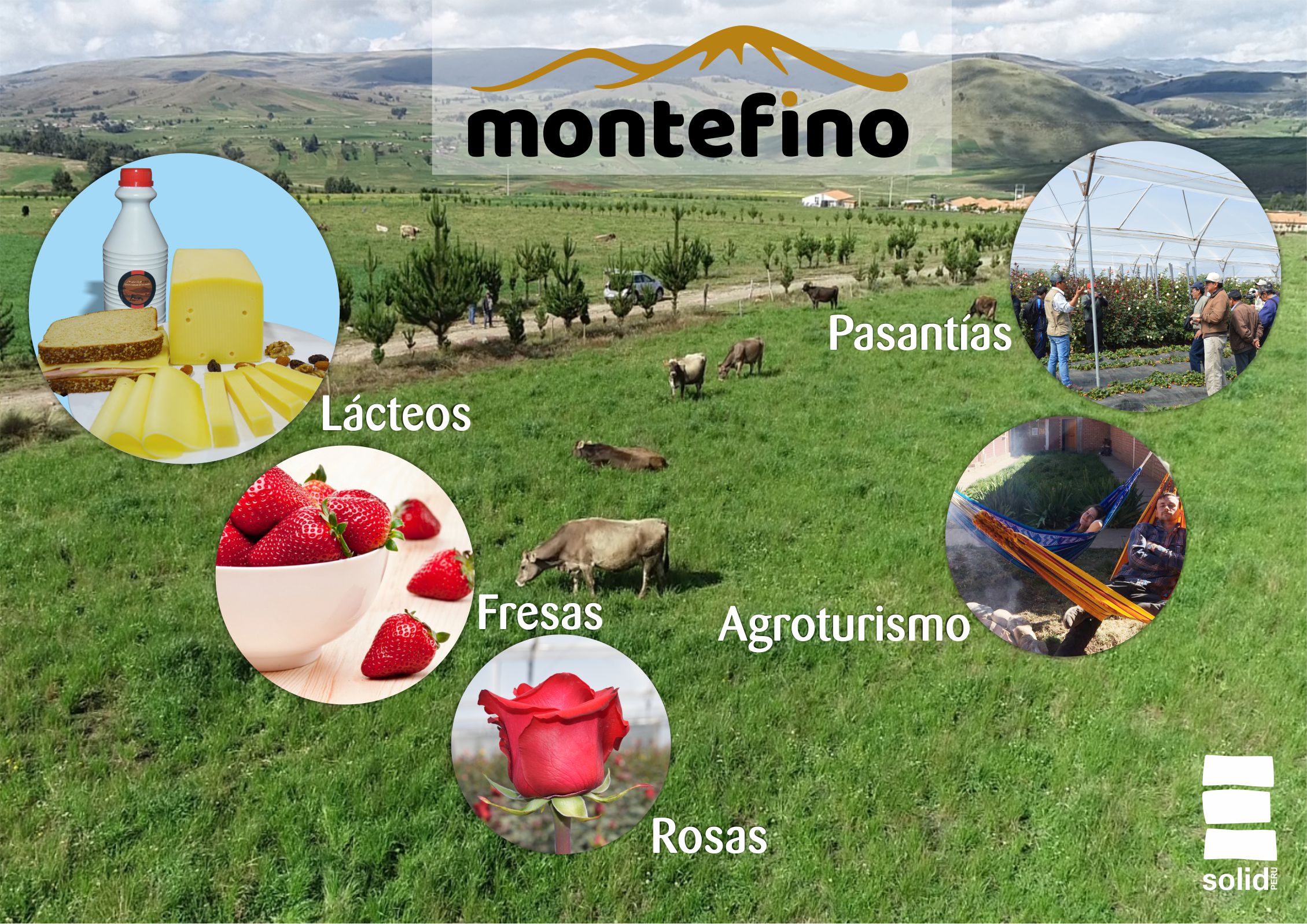 Nosotros Montefino